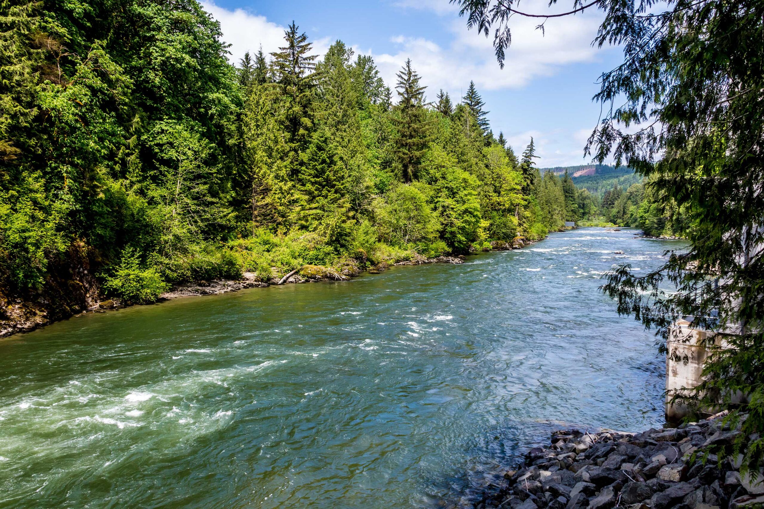 Irrigation Water - Naches Cowiche Canal Association